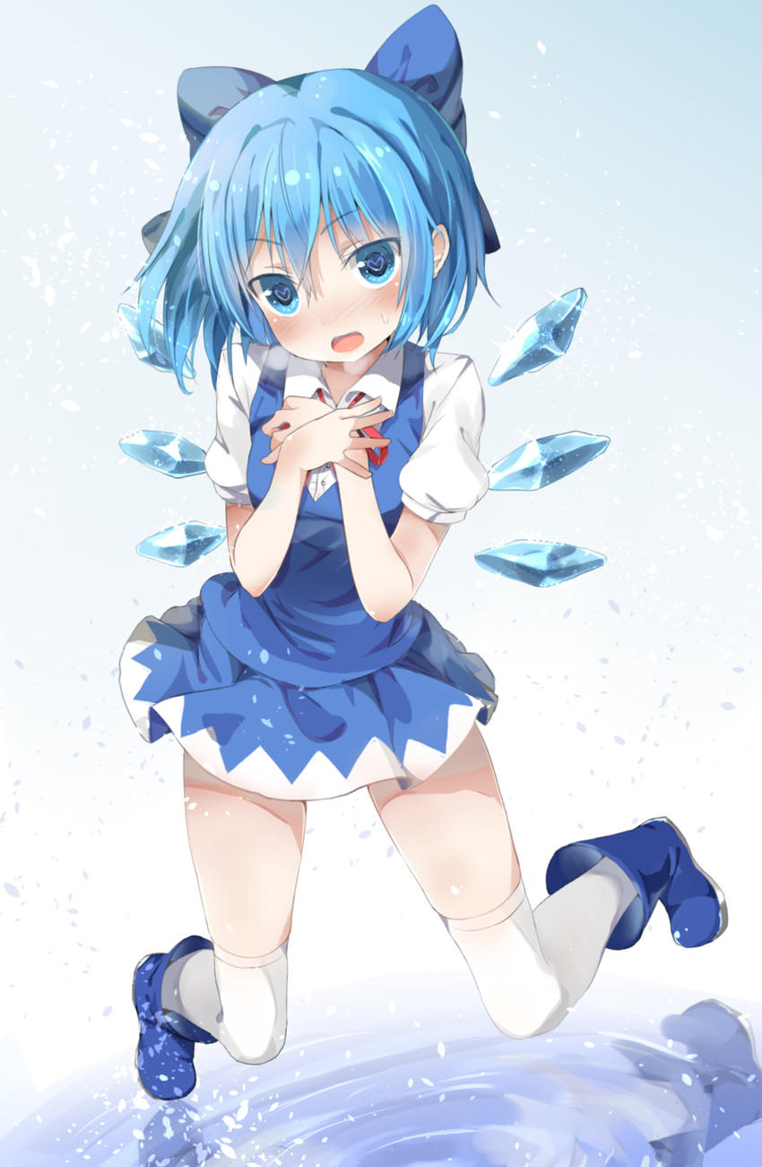 cirno | Cirno | Know Your Meme