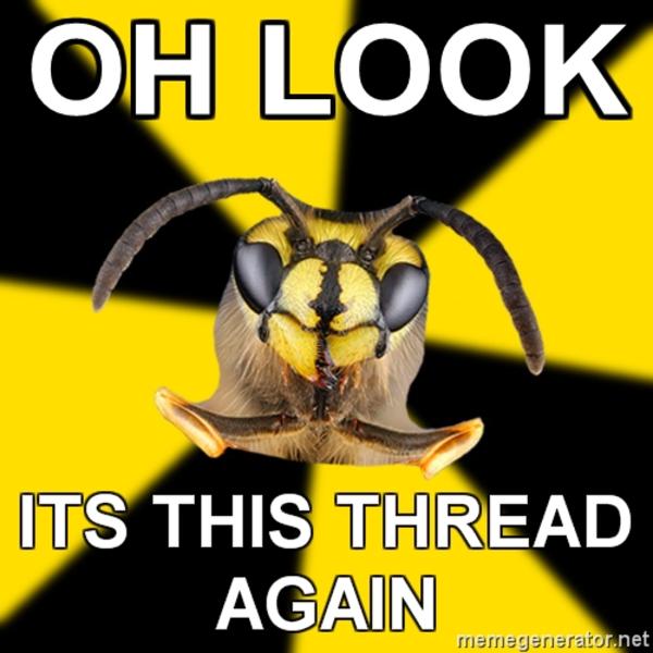 A wasp that doesn't like reposts | Oh Look It's THIS Thread Again ...