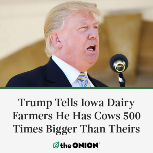 those are some big cows | Donald Trump | Know Your Meme
