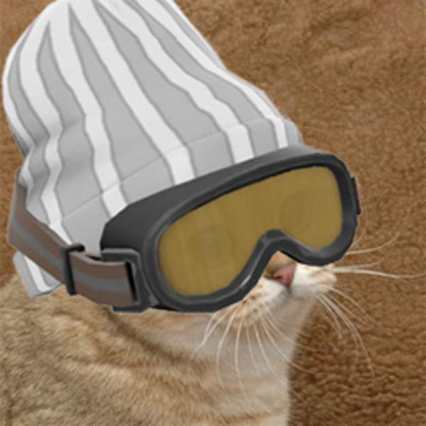 mfw snow | Starecat / Grafics Cat | Know Your Meme