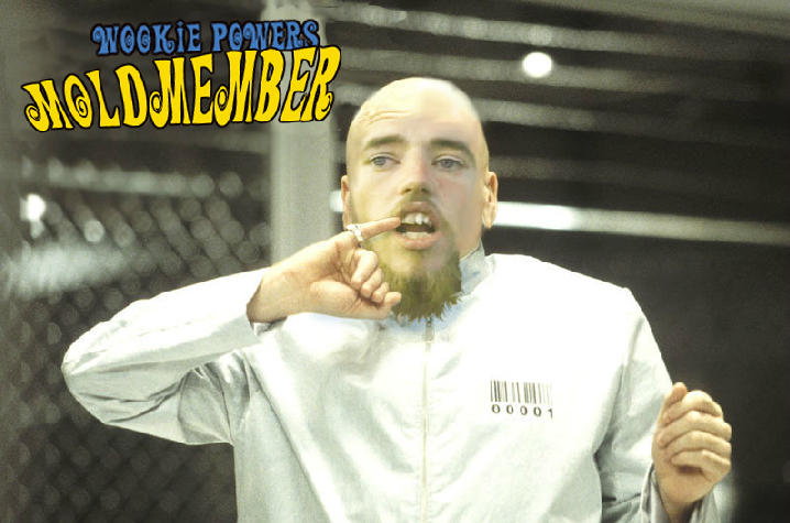 Moldmember | WOOK #17 | Know Your Meme