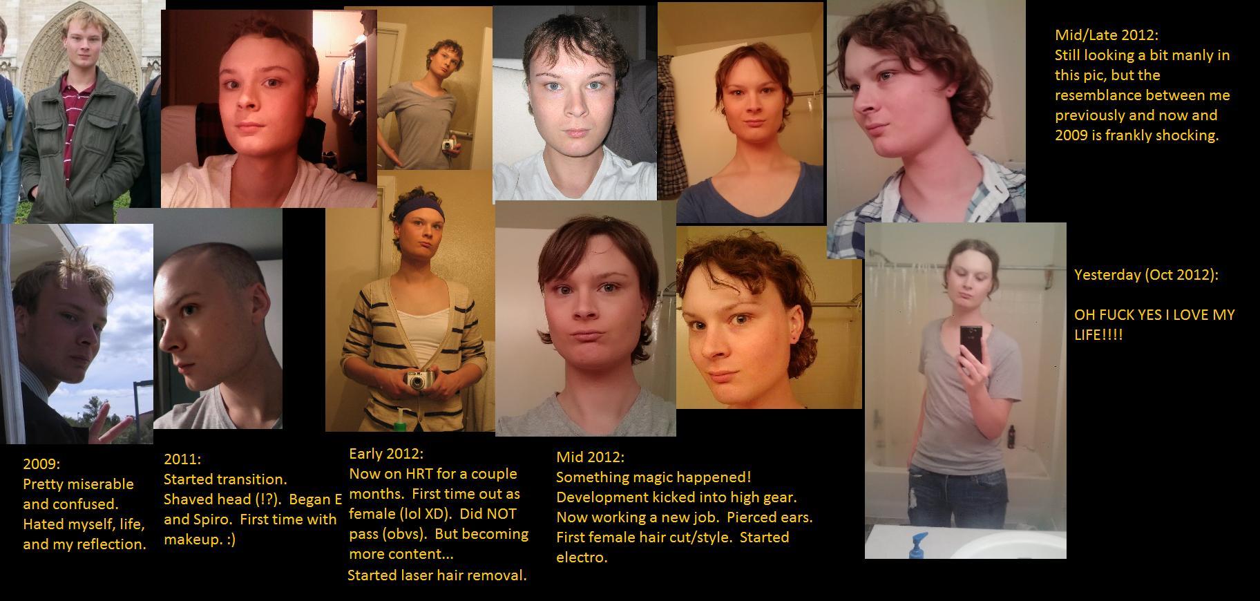 Transgender Transitions | Transgender Transition Timelines | Know Your Meme