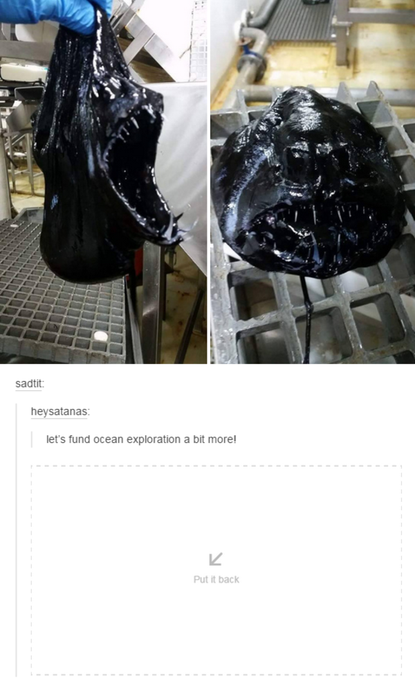 Let's fund ocean exploration a bit more! | Tumblr | Know Your Meme