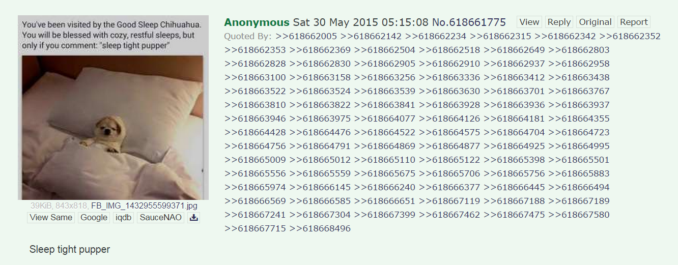 First instance on /b/ | Sleep Tight Pupper | Know Your Meme