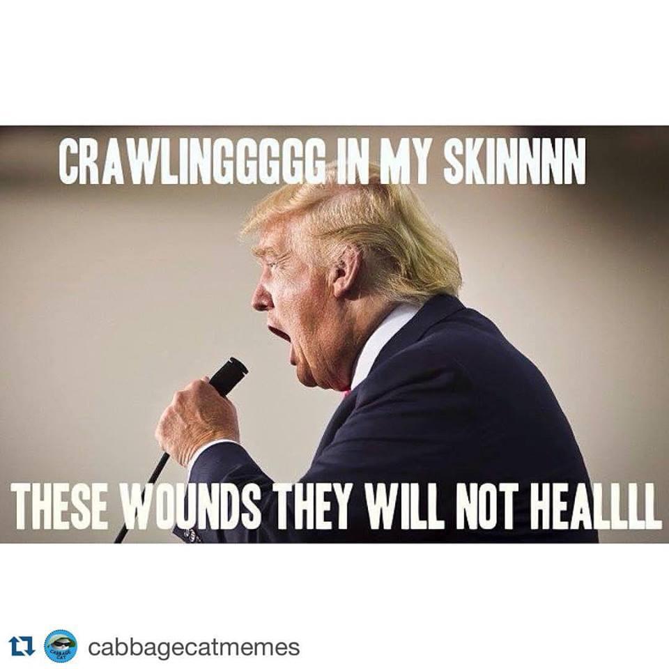 Can't think of an appropriate title | Crawling In My Skin | Know Your Meme