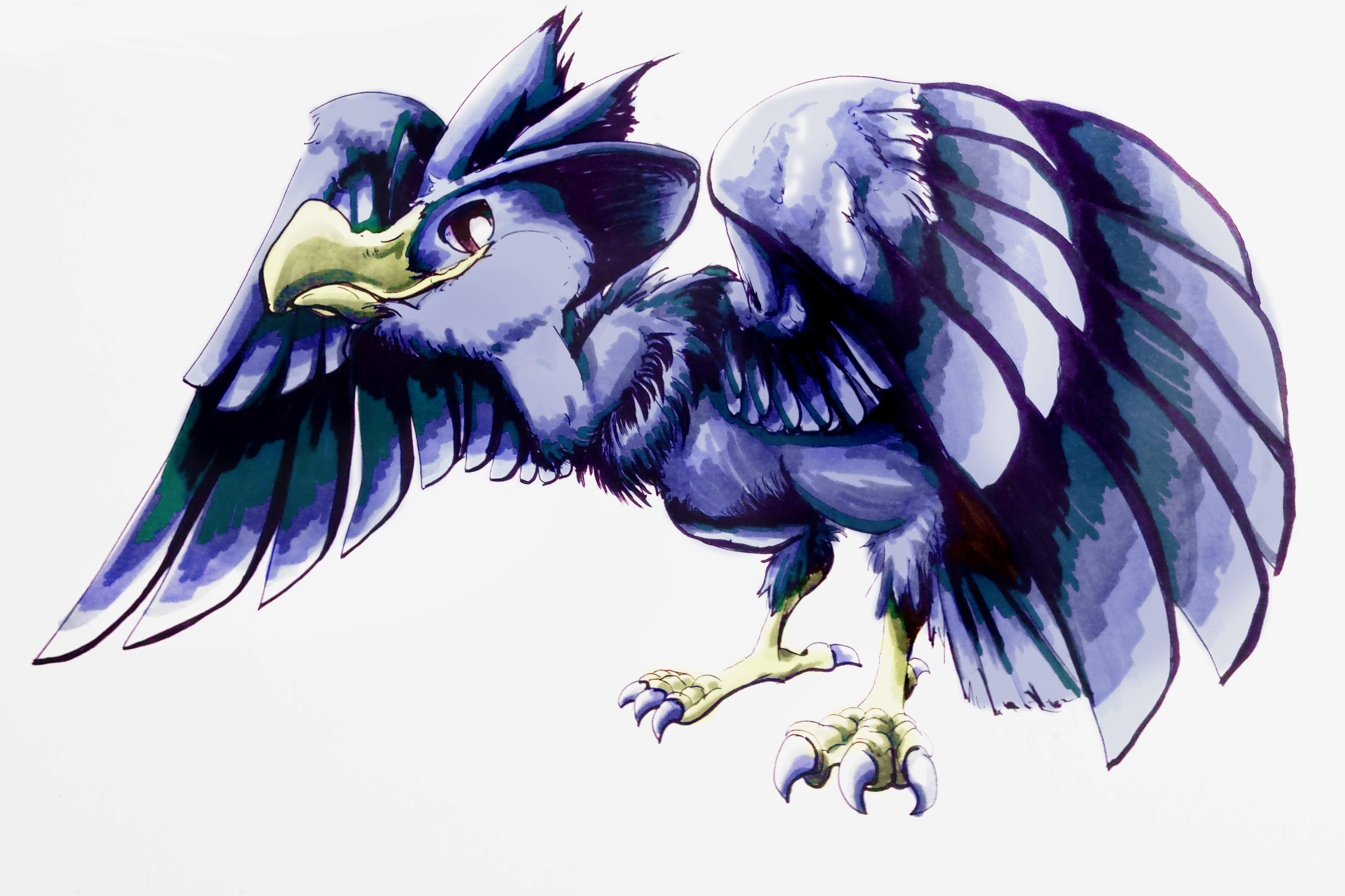 Murkrow | Pokémon | Know Your Meme