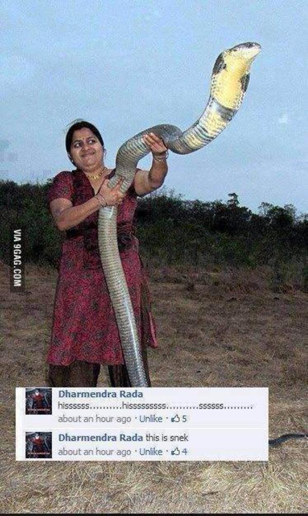 This Is Snek | This Is Snek | Know Your Meme