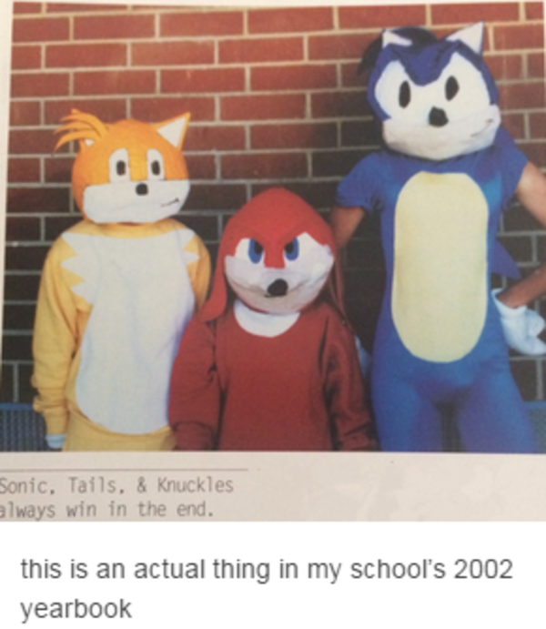This actually happened. | Sonic the Hedgehog | Know Your Meme