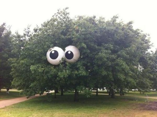 Someone put giant googly eyes in this tree | Eyebombing | Know Your Meme