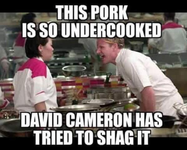 :O | PigGate / Hameron | Know Your Meme