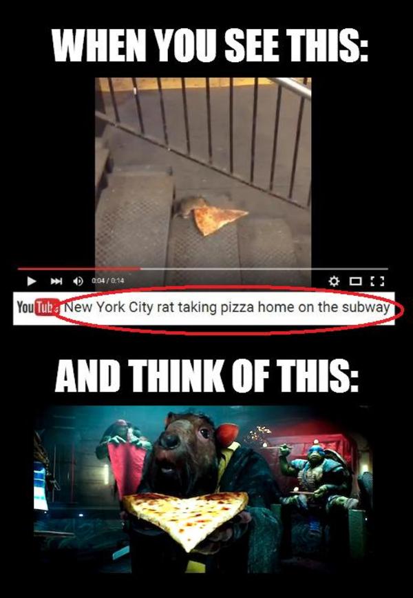 Master Splinter Is That You? | Pizza Rat | Know Your Meme