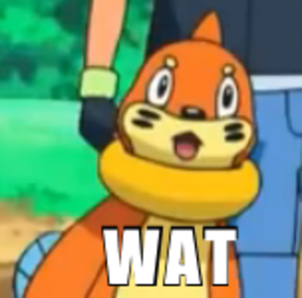 Buizel Wat | Wat | Know Your Meme