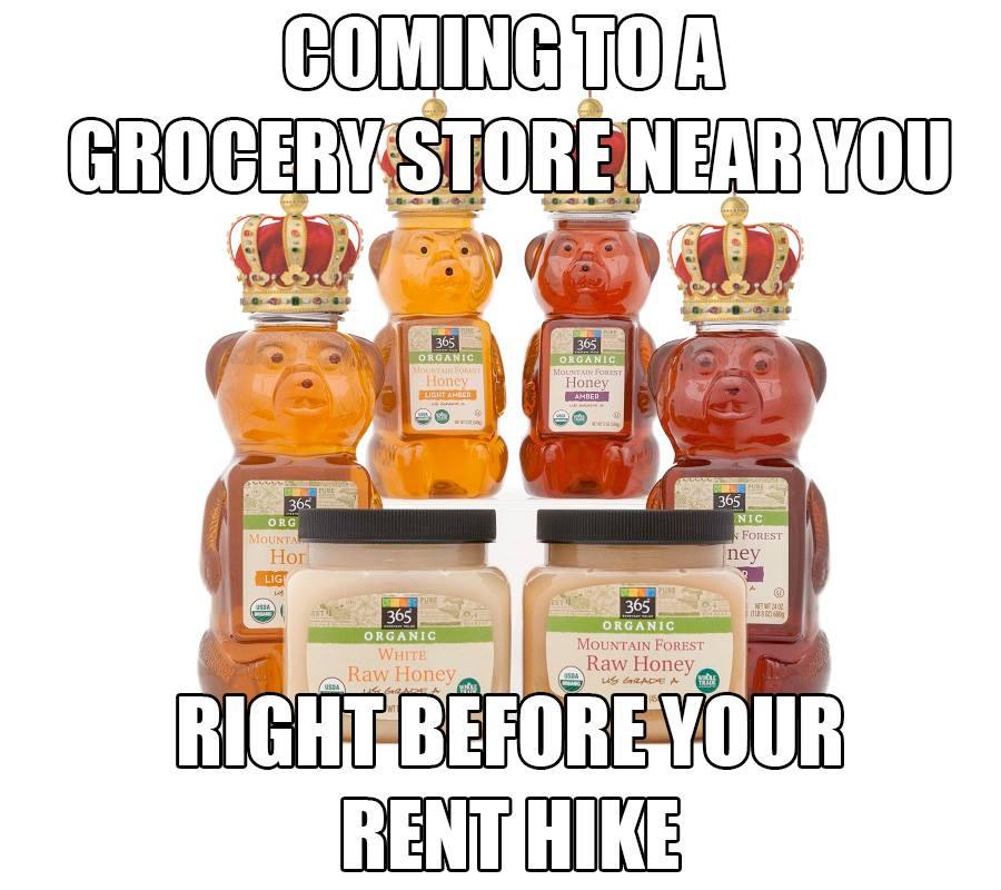 Honey Bear | Landlord Bear | Know Your Meme