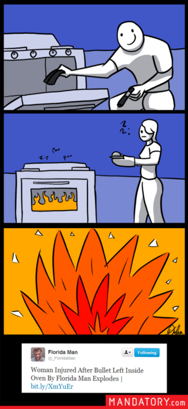 Woman Injured After Bullet Left Inside Oven By Florida Man Explodes ...