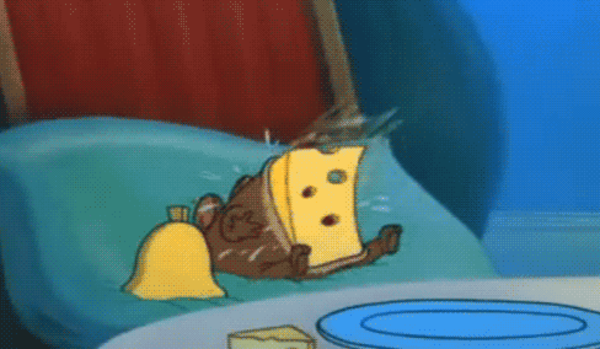 Same | I Know He Ate A Cheese | Know Your Meme