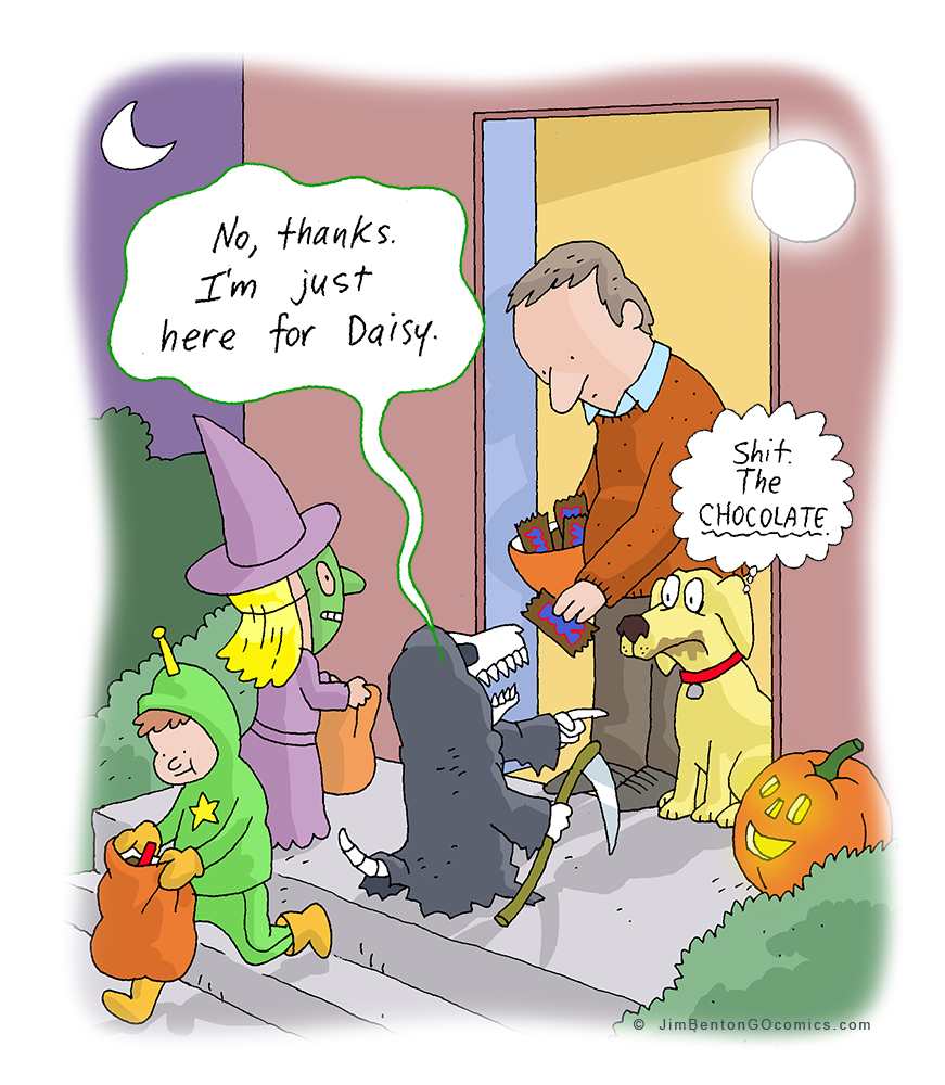 Trick or Treating: Dog Edition | Halloween | Know Your Meme