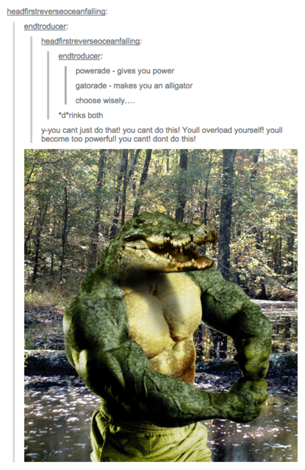YOU IMBECILE! WHAT HAVE YOU DONE! | Tumblr | Know Your Meme