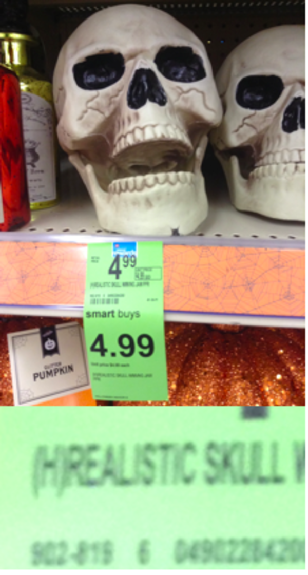 HYPERREALISTIC SKULL! | Skeletons | Know Your Meme