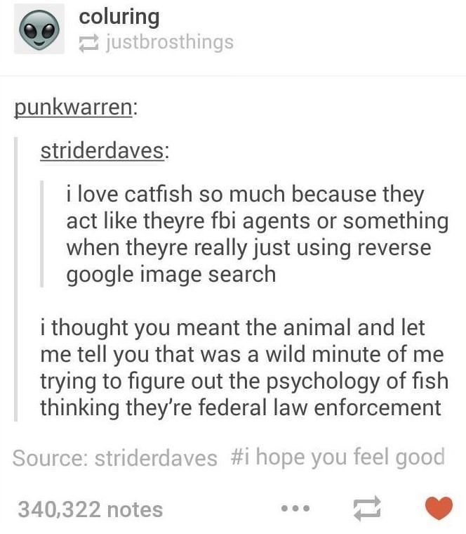 Catfish | Catfish / Catfishing | Know Your Meme