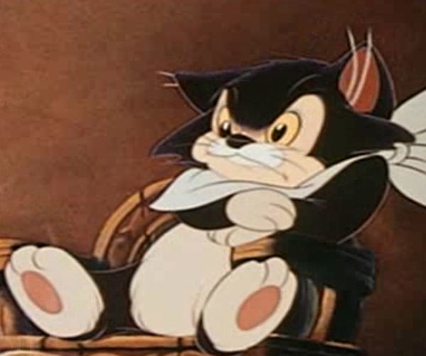 The Original Grumpy Cat | Reaction Images | Know Your Meme