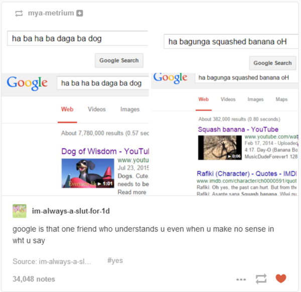 ha ba ha ba daga ba dog | Dog of Wisdom | Know Your Meme