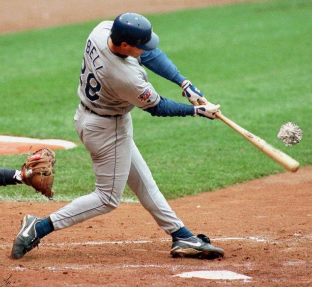 Baseball Dog | Beast | Know Your Meme