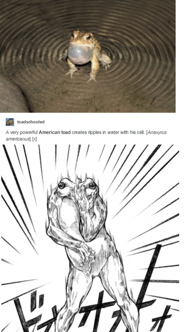 Toad zeppeli | JoJo's Bizarre Adventure | Know Your Meme