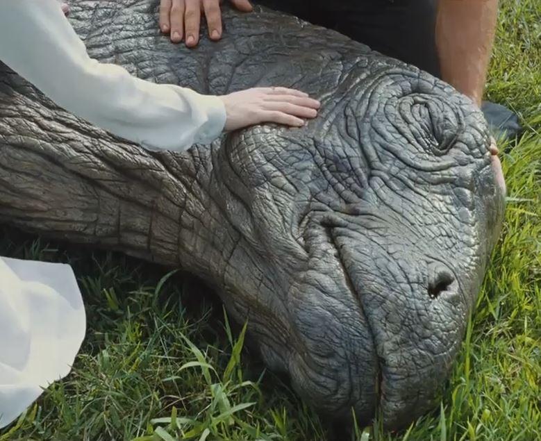 das it mane | Reaction Images | Know Your Meme