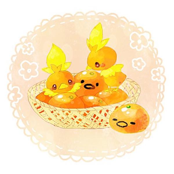 Torchic Oranges | Pokémon | Know Your Meme