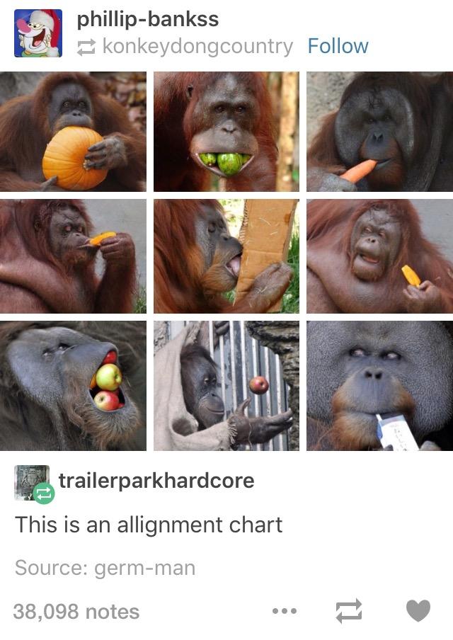 An alignment chart | Alignment Charts | Know Your Meme