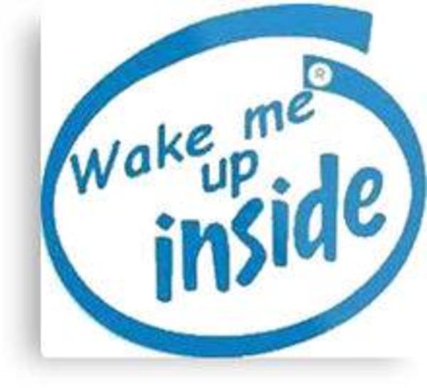 Wake me up Inside | Wake Me Up Inside (Can't Wake Up) | Know Your Meme