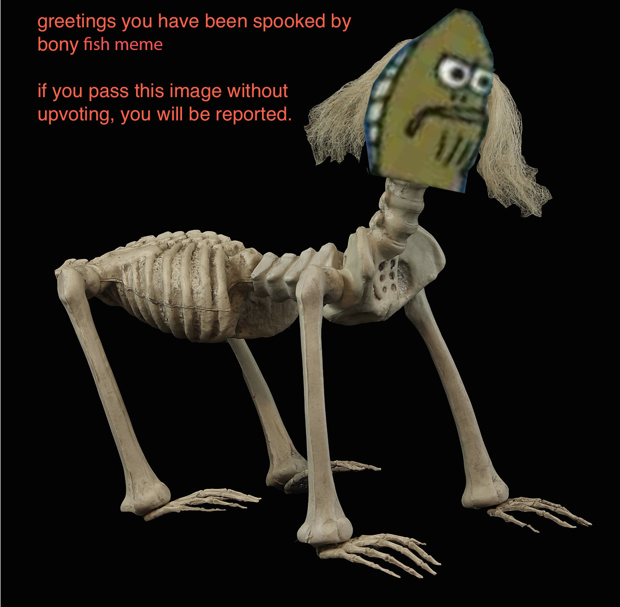 Bony fish | Fishposting | Know Your Meme