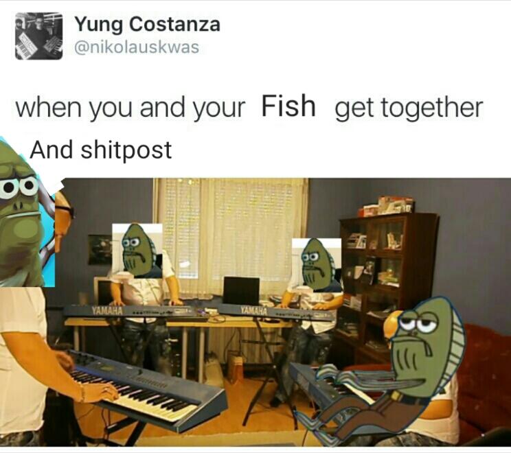 Come on gang | Fishposting | Know Your Meme