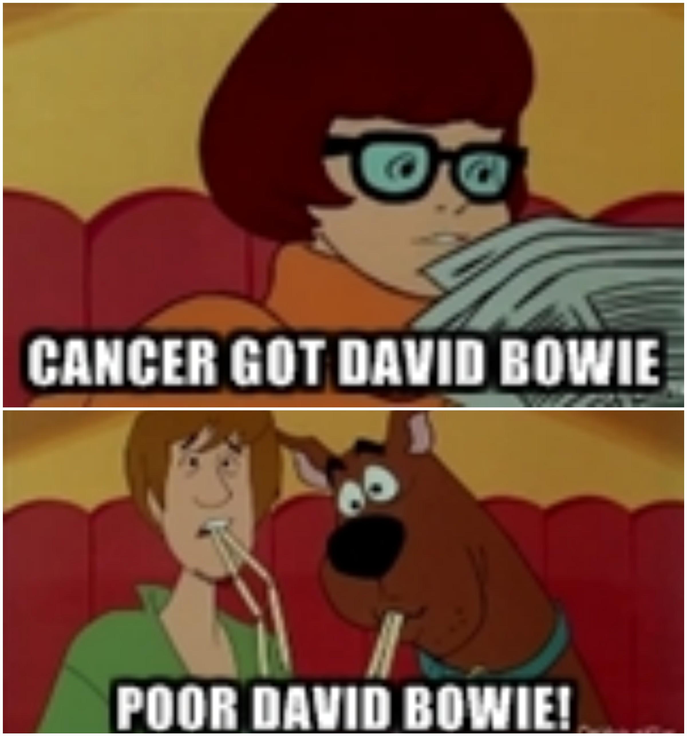 Cancer Got David Bowie | The Misadventures of Skooks | Know Your Meme