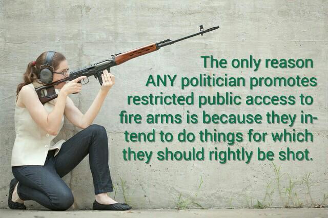 Evil intentions | Gun Control Debate | Know Your Meme