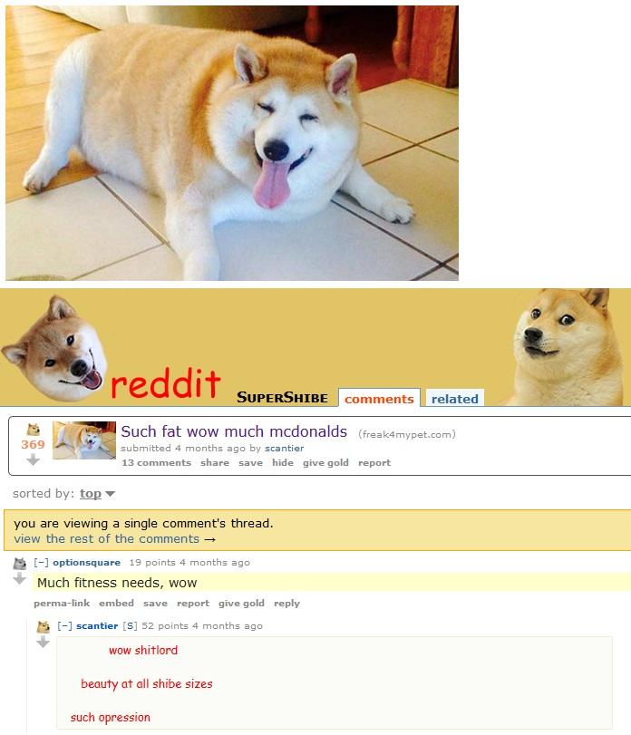 Such fat wow much mcdonalds | Doge | Know Your Meme