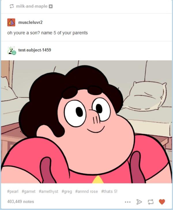 oh you're a son? name 5 of your parents | Steven Universe | Know Your Meme