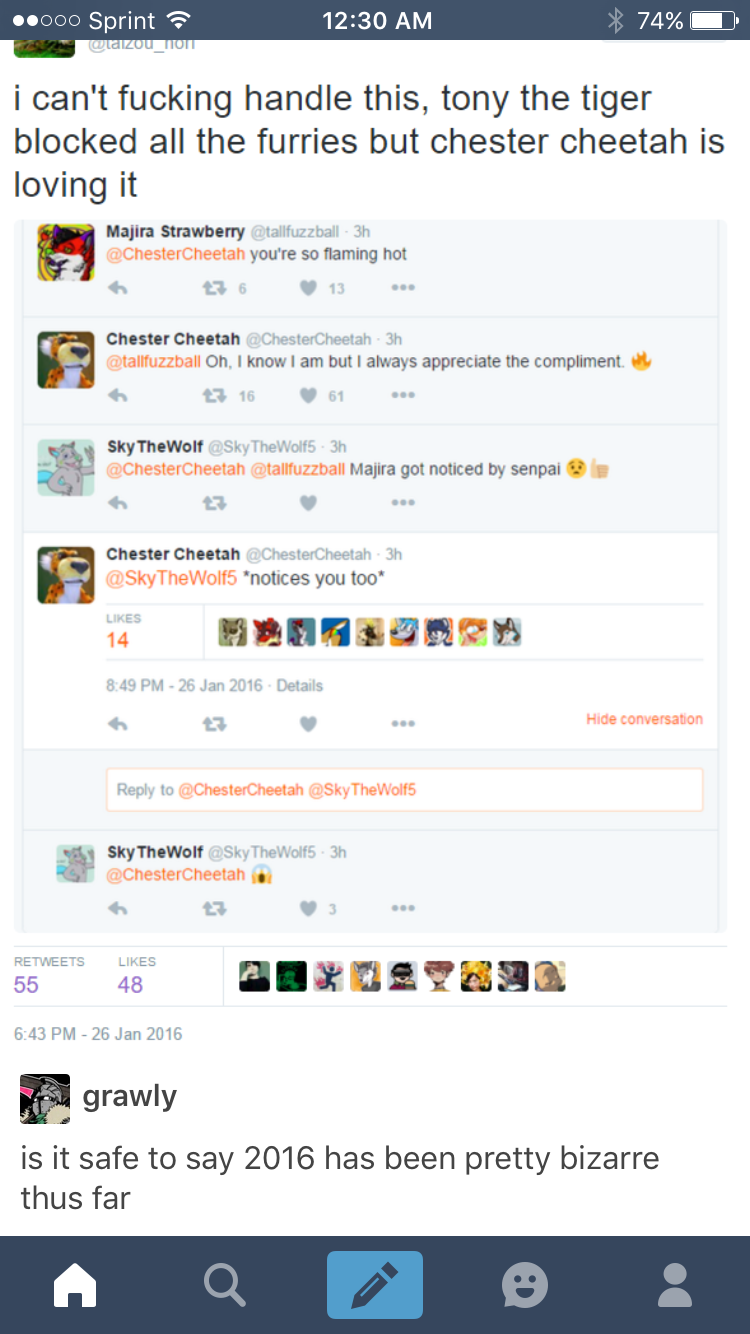 Amazing | Tumblr | Know Your Meme