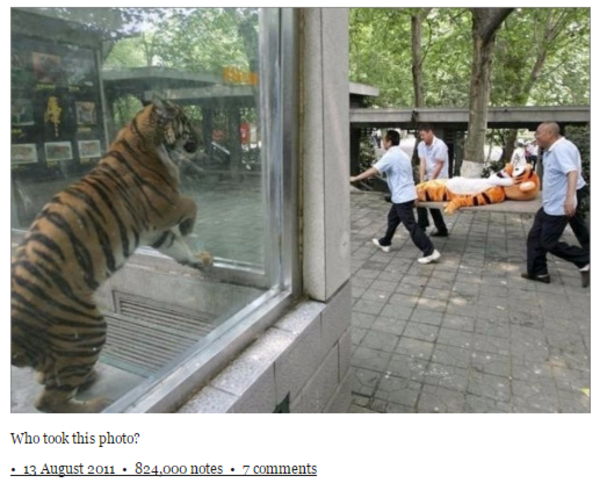 Here's a Tigger the Tiger | Winnie the Pooh | Know Your Meme