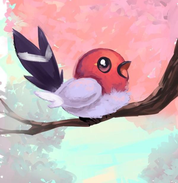 Fletchling | Pokémon | Know Your Meme