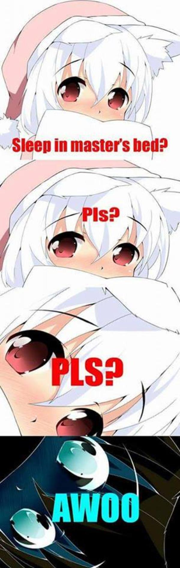 pls | Awoo~ | Know Your Meme