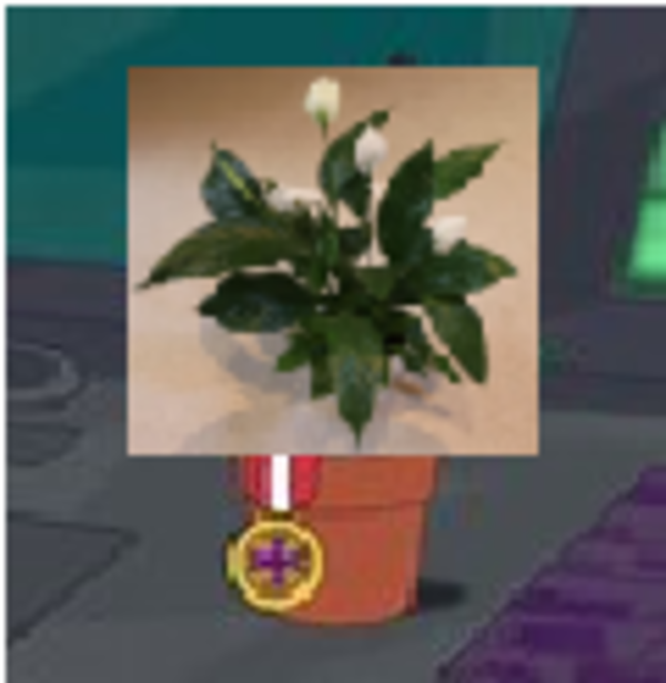 DURR PLANTy the potted plant | DURR PLANT | Know Your Meme