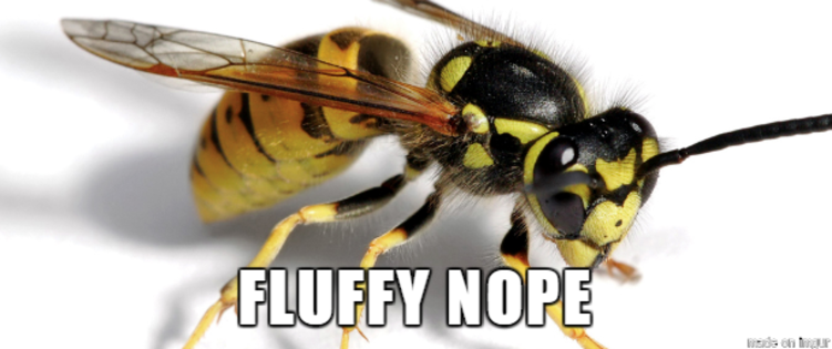 Yellow Jacket | Better Names For Things | Know Your Meme