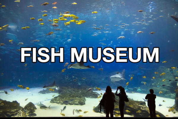 Aquarium | Better Names For Things | Know Your Meme