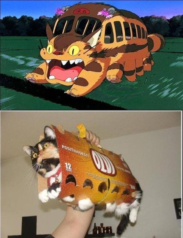 Catbus IRL | Studio Ghibli | Know Your Meme
