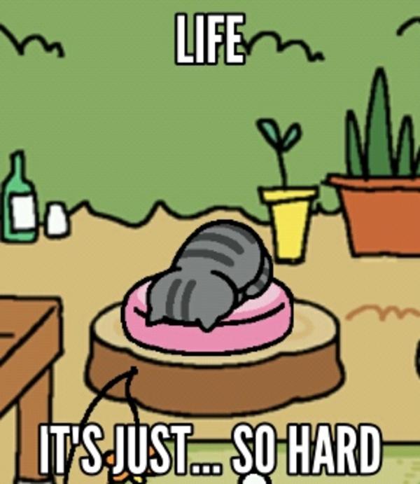 Life it's just so Hard | Neko Atsume | Know Your Meme