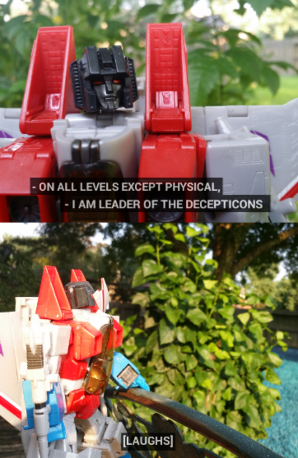 Leader | On All Levels Except Physical, I am a Wolf | Know Your Meme