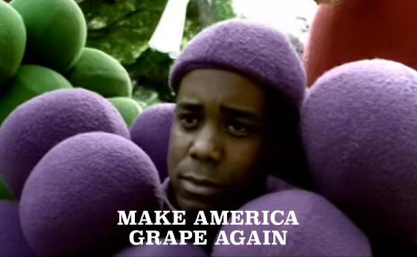 MAKE AMERICA GRAPE AGAIN | Donald Trump | Know Your Meme