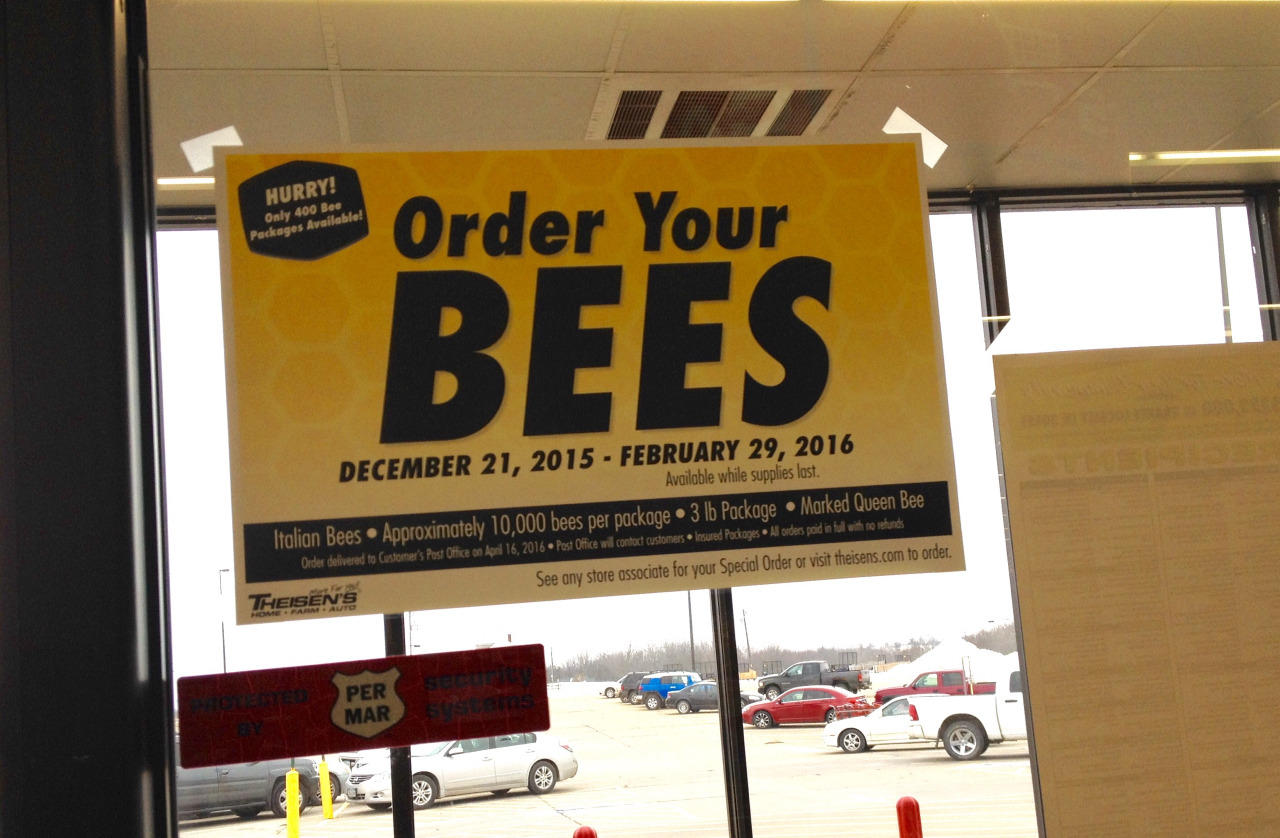 BEES | Bees | Know Your Meme