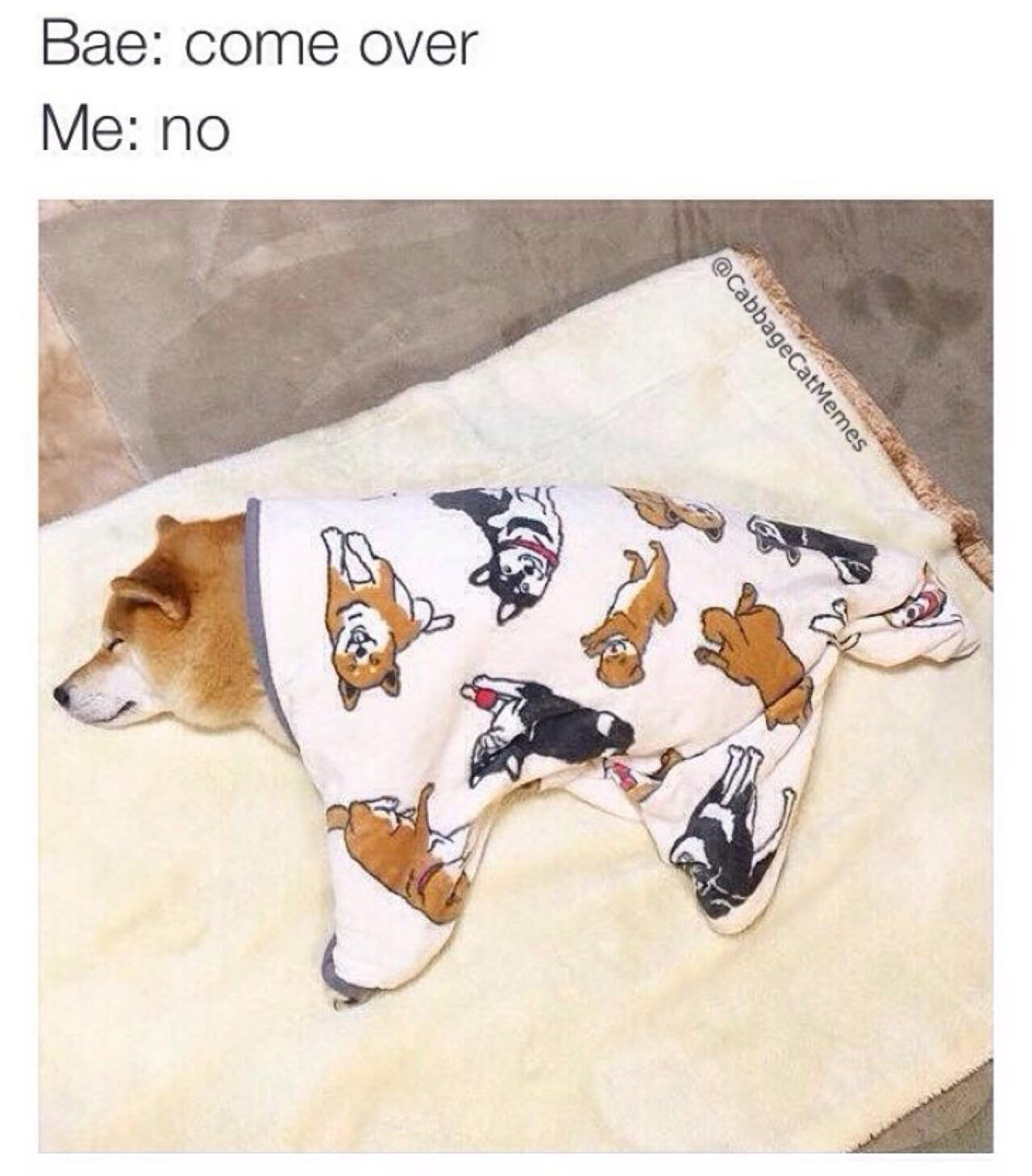 "no" | Bae Come Over | Know Your Meme